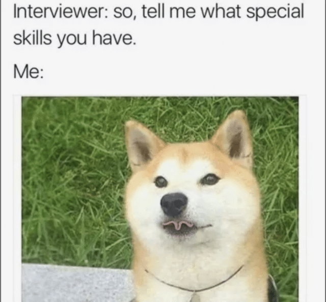 100 Funniest Dog Jokes of the Internet (FUNNY DOG HUMOR)