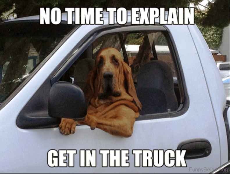 100 Funniest Dog Jokes Of The Internet FUNNY DOG HUMOR 