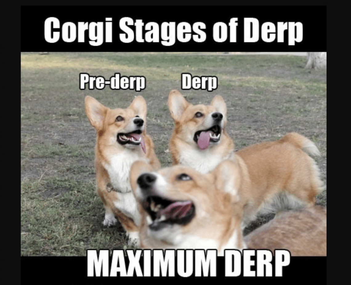 31 Funniest Corgi Jokes: Puns, Memes & More