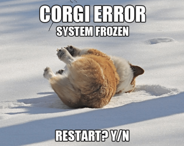 31 Funniest Corgi Jokes: Puns, Memes & More