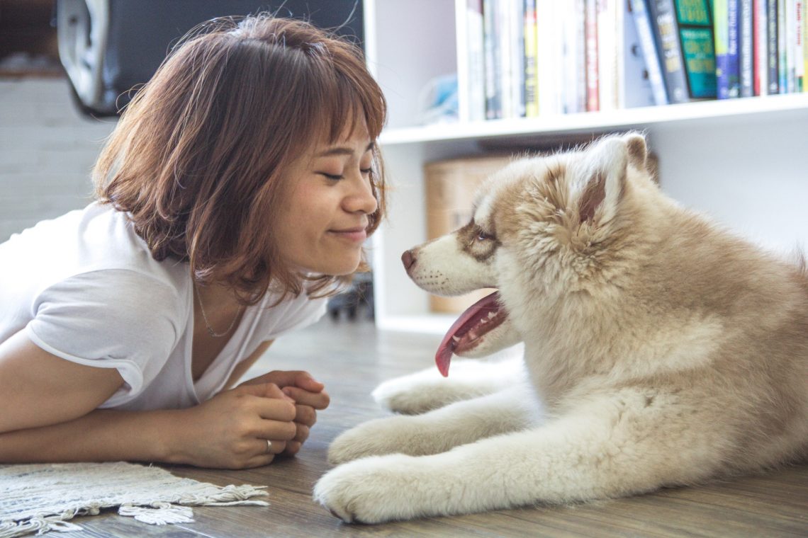 19 Most Iconic Asian Dog Breeds (Native Asian Dogs)