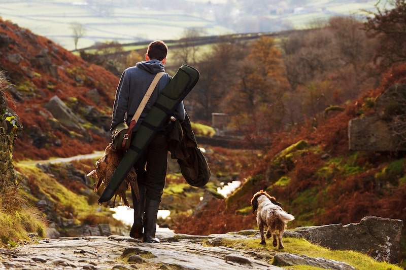 All 5 Types of Hunting Dogs (& How They Actually Hunt)